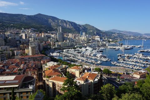 Monaco life expectancy - Total Biohacking